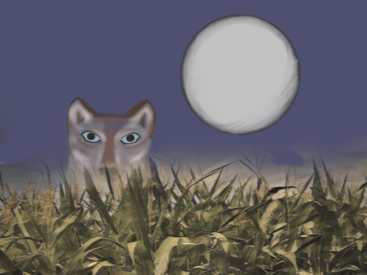 An Autumn Equinox Tanka – JJJ Interactive Books