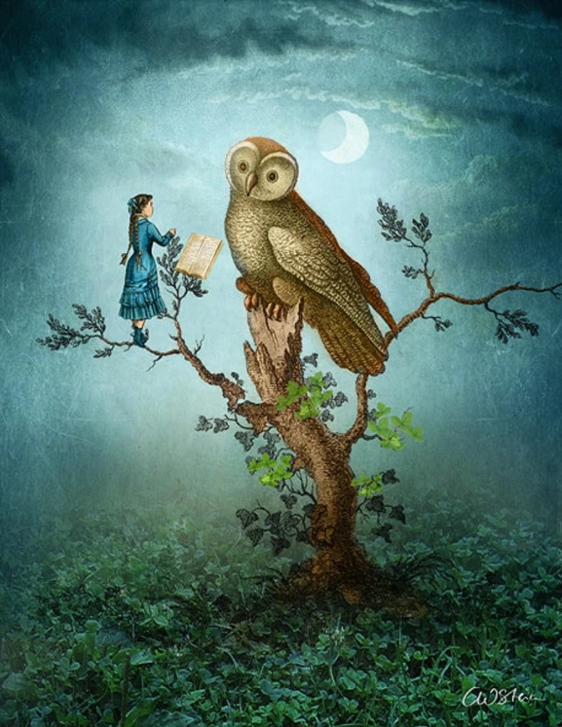 Tome of Wisdom – JJJ Interactive Books