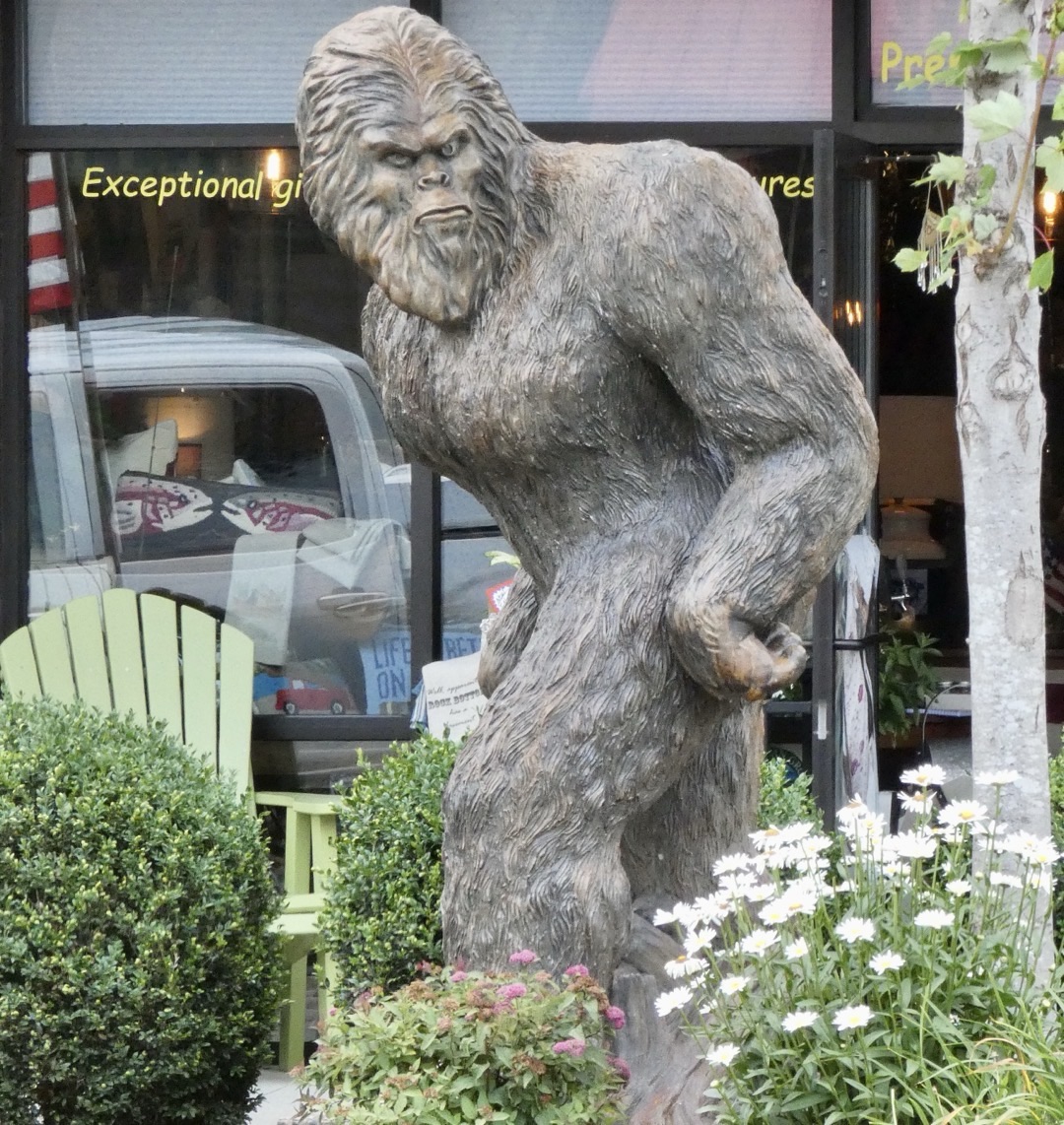 Bigfoot – JJJ Interactive Books