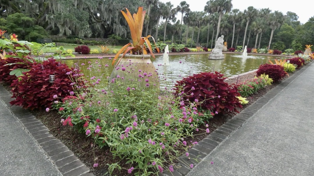 Globe Amaranth – JJJ Interactive Books