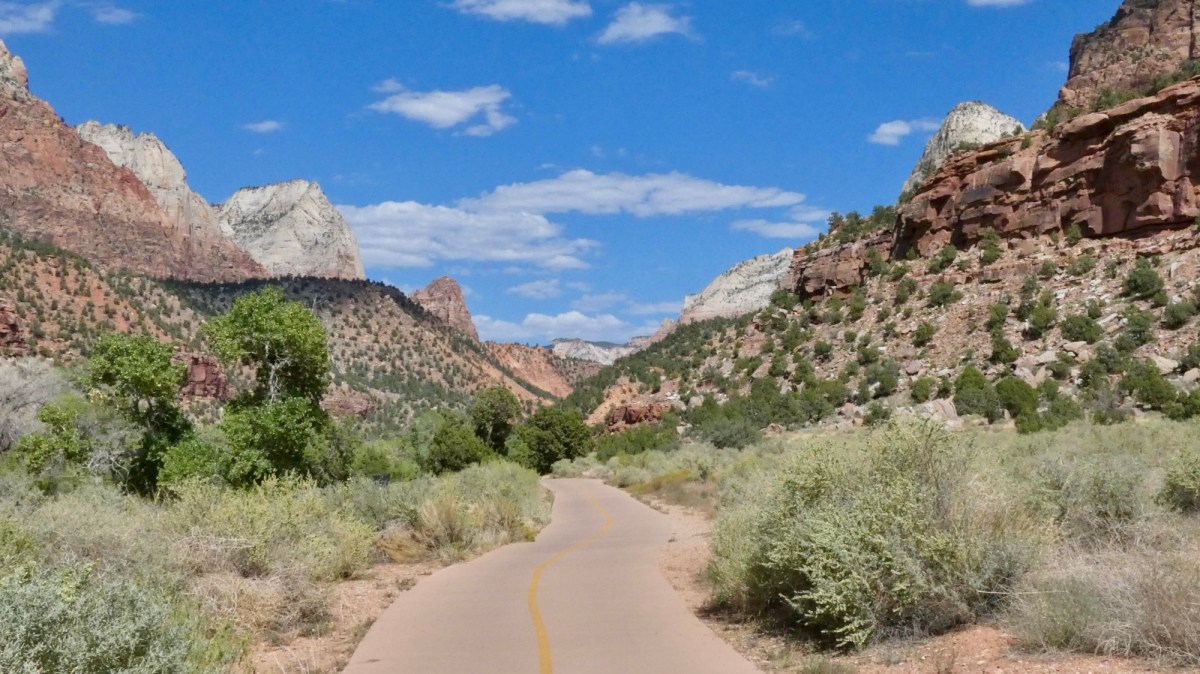 A Tanka: Heart at Home – JJJ Interactive Books