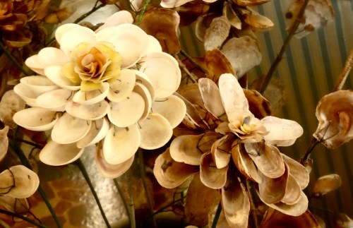 Shell Flowers – JJJ Interactive Books